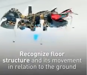 Scientist Shares Powerful Details Of Robot Ants Made By Festo ...