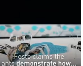 Scientist Shares Powerful Details Of Robot Ants Made By Festo ...