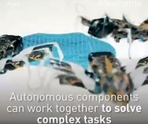Scientist Shares Powerful Details Of Robot Ants Made By Festo ...