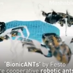 Scientist Shares Powerful Details Of Robot Ants Made By Festo ...