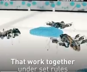 Scientist Shares Powerful Details Of Robot Ants Made By Festo ...
