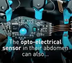 Scientist Shares Powerful Details Of Robot Ants Made By Festo ...