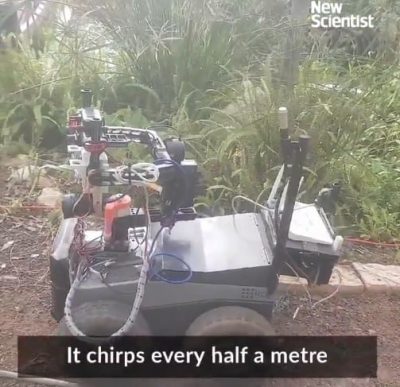 ROBAT: Features Of The Bat-Inspired Robot (Robat), How It Can Help ...