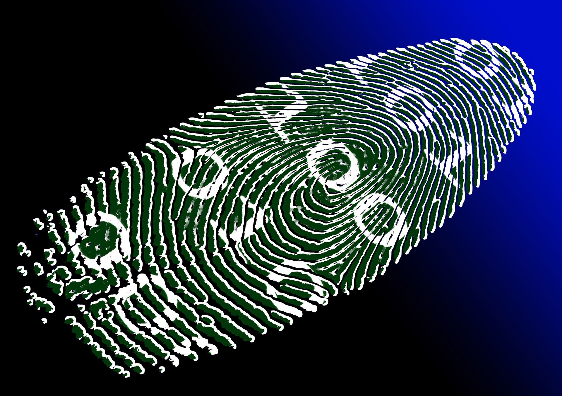 What Are Biometrics? Important Facts About Biometrics - EngineeringAll ...