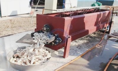 How The Cassava Shelling Machine Works - EngineeringAll.com