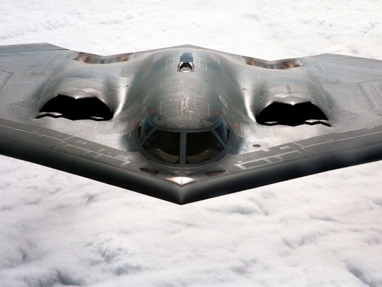 Why the US B2-Bomber Was Designed From Falcon Bird - EngineeringAll.com