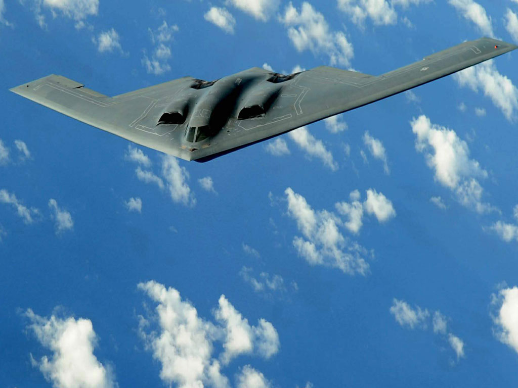 Why the US B2-Bomber Was Designed From Falcon Bird - EngineeringAll.com