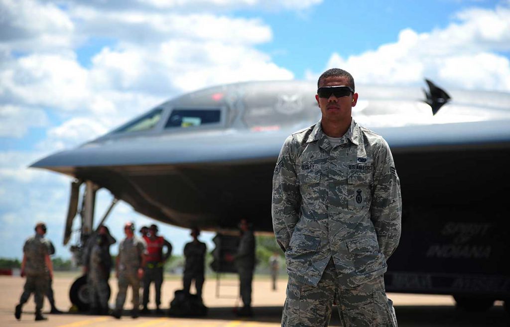 Why the US B2-Bomber Was Designed From Falcon Bird - EngineeringAll.com